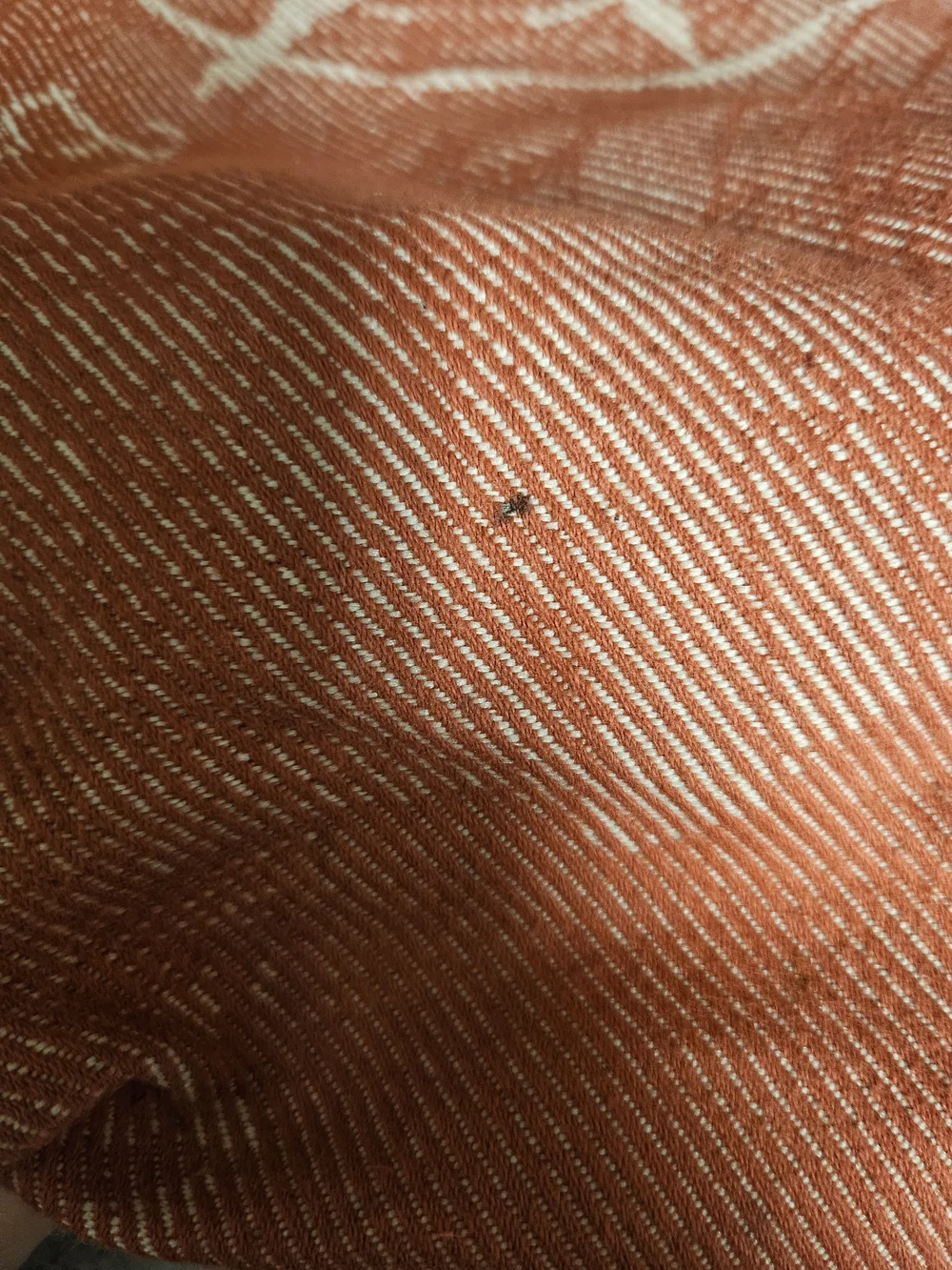 Trader Joe'S | Bags | Trader Joes Red Canvas Logo Tote | Poshmark